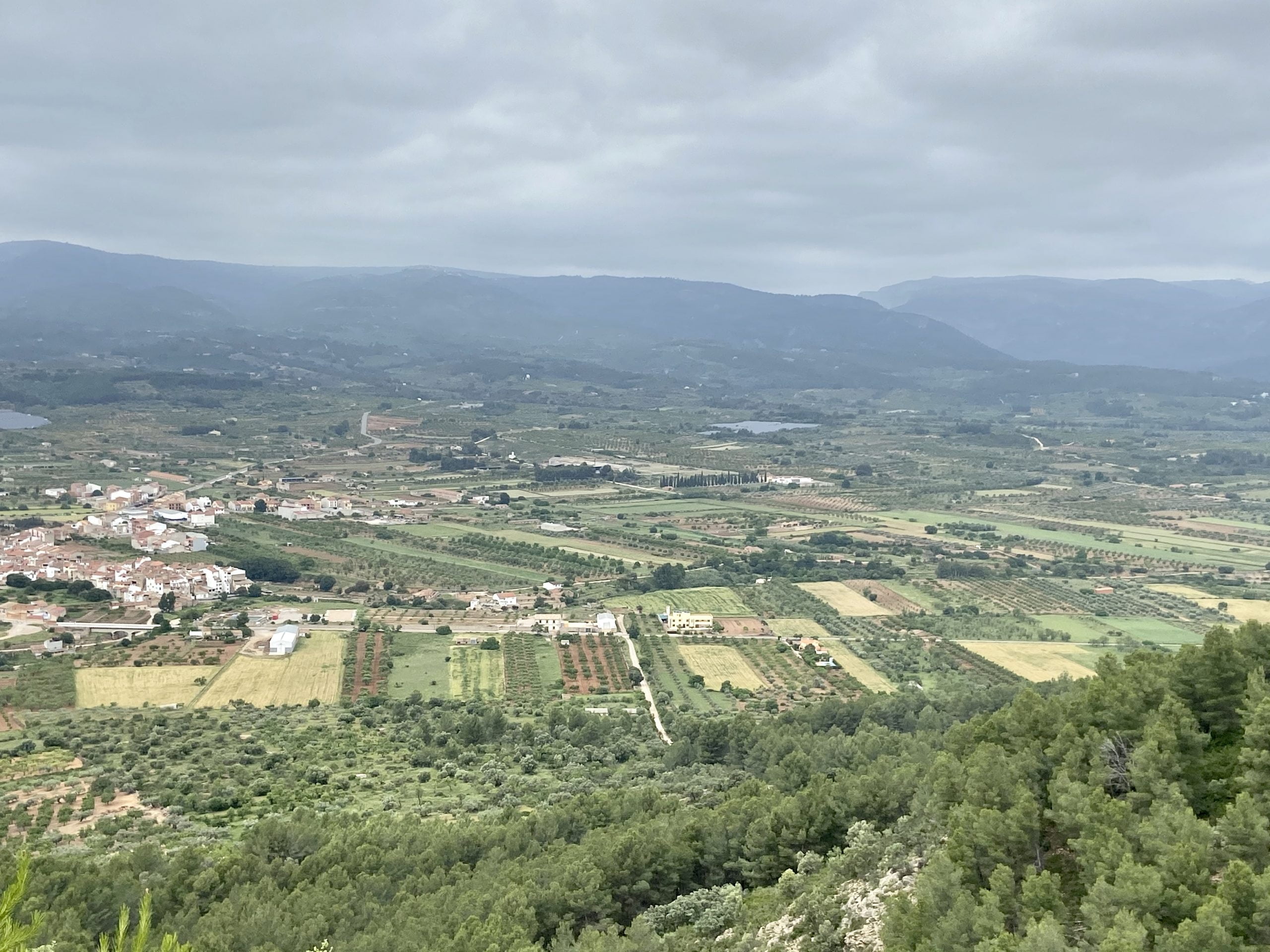 La sostenibilidad en el medio rural: de la granja a la mesa ...
